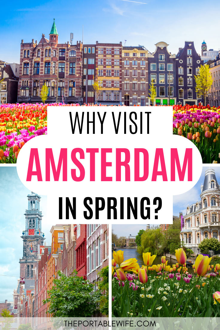 Visiting Amsterdam in Spring: 7 Bucket List Experiences - The Portable Wife